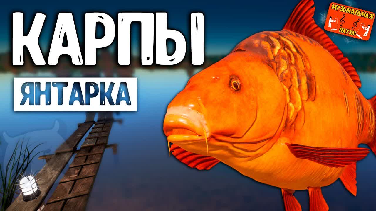 РР4/ рыбалка для души, ловим как универсал, общаемся 12.06.24 — Видео от Ferdych | ВКонтакте