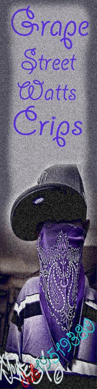 Grape Street Watts Crips | Grape Street Watts Crip Los Angeles Lakers ...